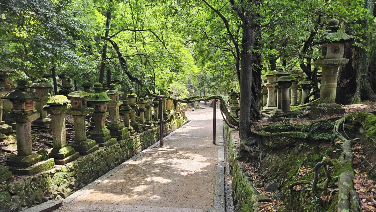 Summer in Kyoto: A Travel Guide and Itinerary - THE GLOBAL KIDCHEN